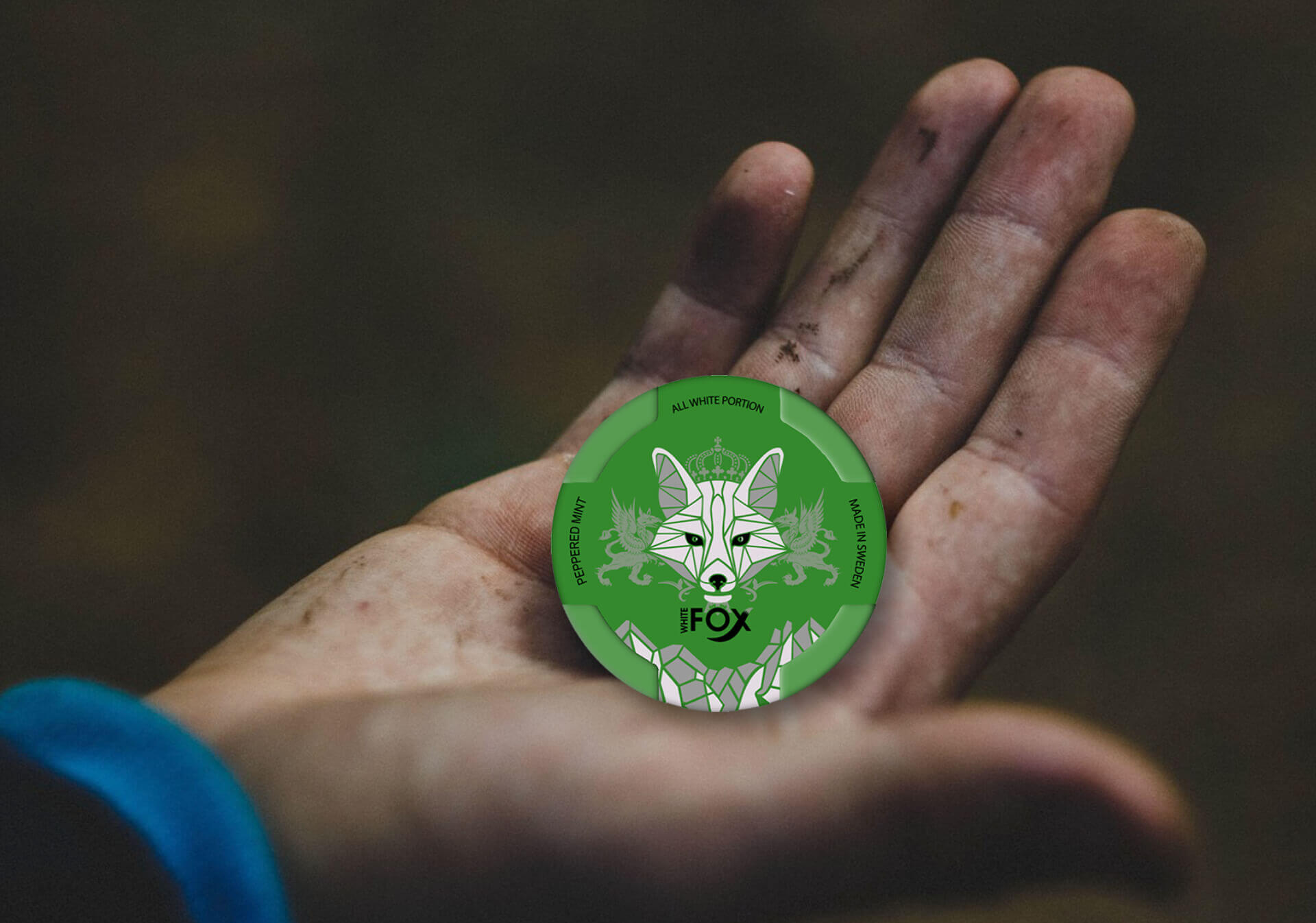 Was sind White Fox Nikotin Pouches? XALAX